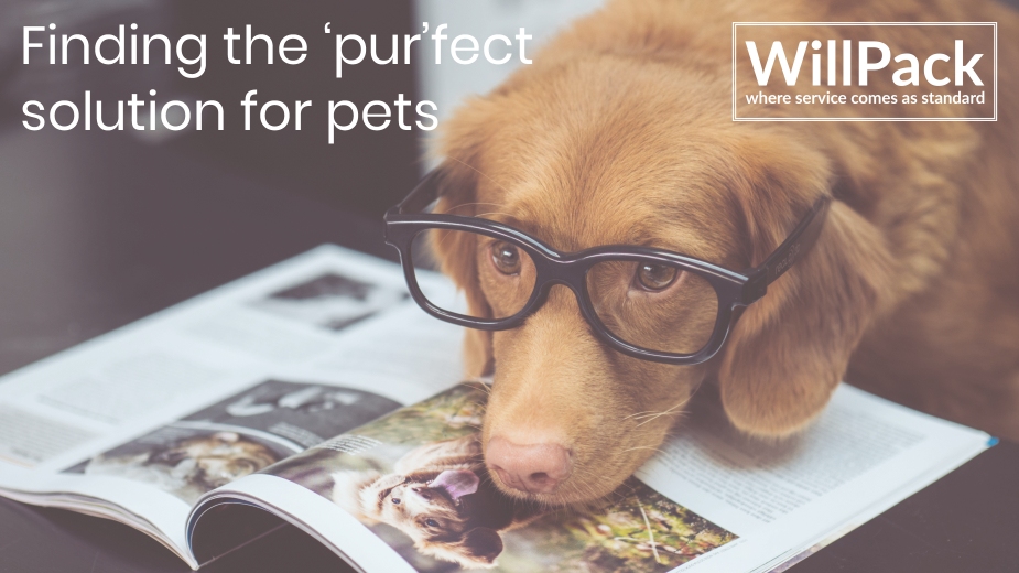 Finding the ‘pur’fect solution for pets — WillPack